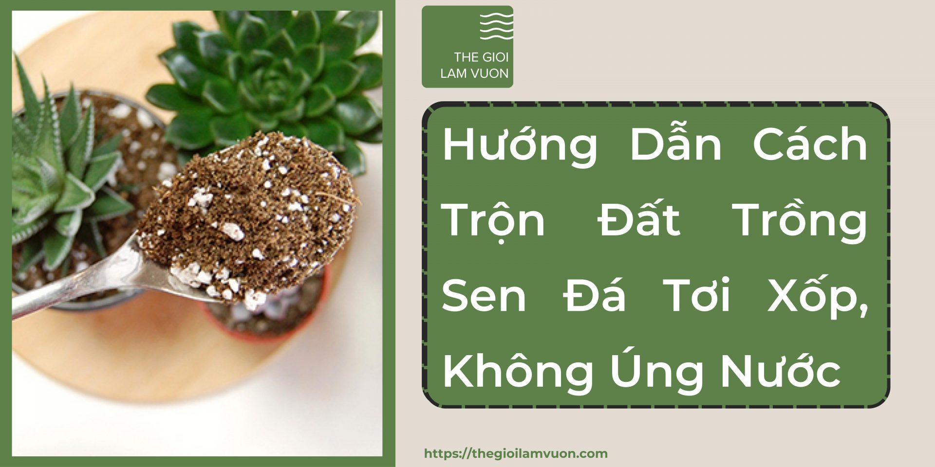 Hướng Dẫn Cách Trộn Đất Trồng Sen Đá Tơi Xốp, Không Úng Nước